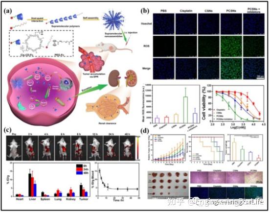 《AHM》综述：药物自给药系统--分子设计、构建策略及生物应用 - 知乎