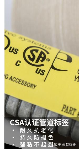 什么是CSA标签? - 知乎