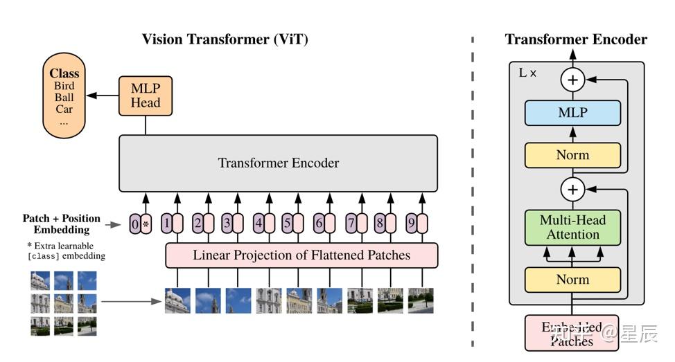 first time-MAE - 知乎