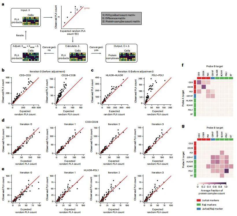 Nat Methods | 定量单细胞的细胞外蛋白、蛋白复合物和mRNA - 知乎