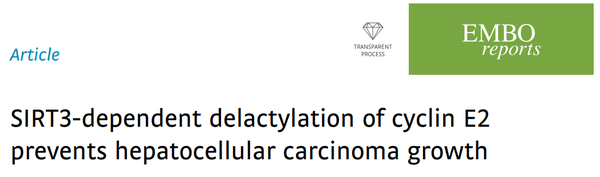 EMBO Rep | 中国科学技术大学王毅团队揭示CCNE2乳酸化修饰促进肝细胞癌进展的新机制 - 知乎
