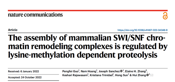 Nat Commun︱张慧团队发现SWI/SNF复合物的新型蛋白降解机制 - 知乎