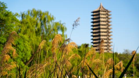 Deep Layer Aggregation多层级融合DLA34主干网络结构 - 知乎