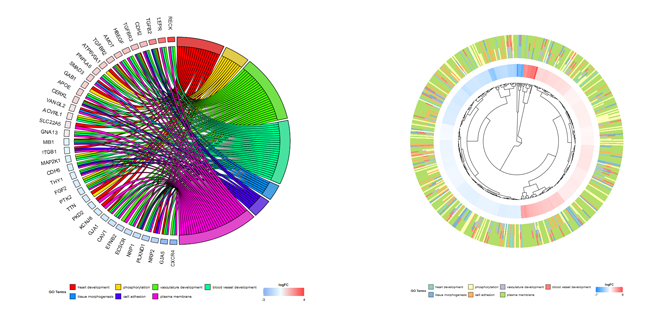 这个R包不太冷系列——GOplot（功能富集绘图） - 知乎