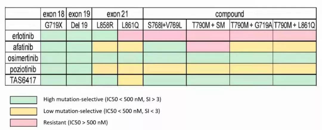 治疗EGFR 20ins的又一悍将——CLN-081（TAS6417） - 知乎