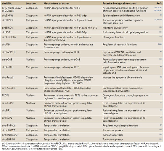 【耀文解读】环状RNA(circRNA)的miRNA分子海绵功能与潜在医学转化 - 知乎