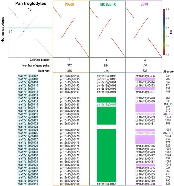 Mol Plant | WGDI：用于基因组复制和核型进化分析的工具包 - 知乎