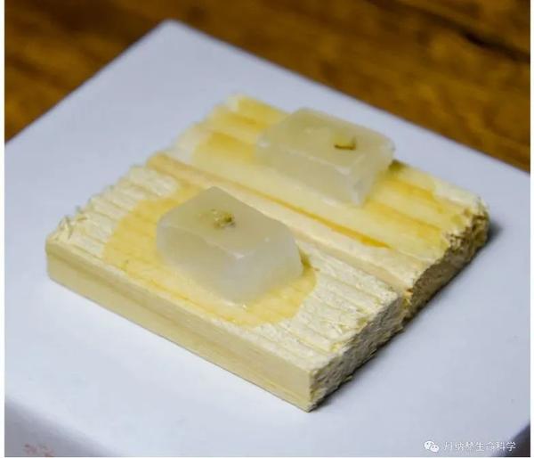 如何榨干一张FFPE样品，多组学研究思路盘点 - 知乎