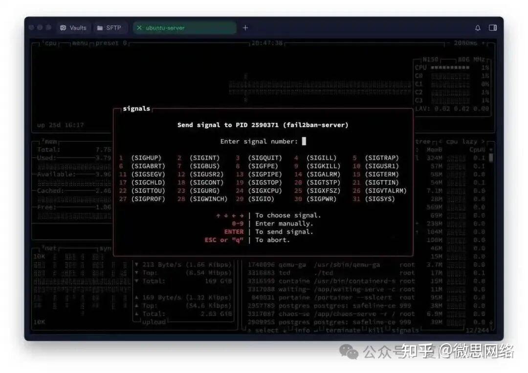 linux系统监控工具小神器！超全面的Btop安装和使用指南 - 知乎