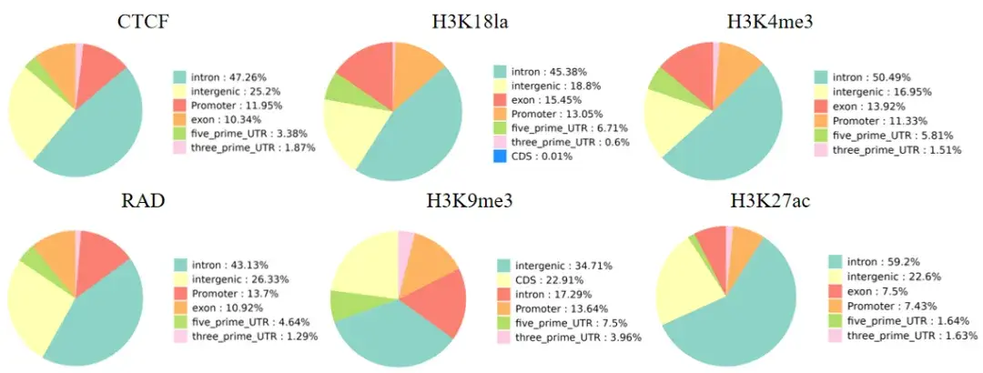 干货 | 探索CUT&Tag：从样本到文库，实验步步为营！ - 知乎