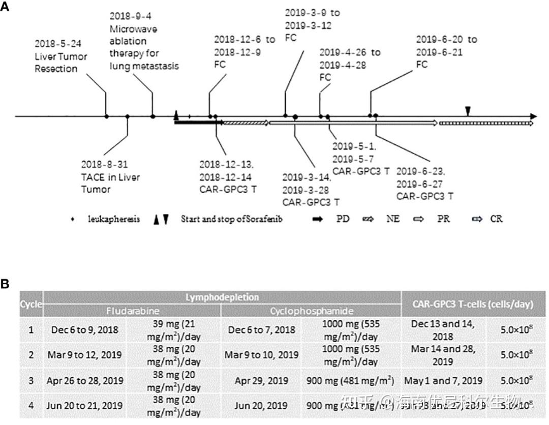 肝癌治疗迎来新突破！靶向GPC3的Car-T联合疗法让晚期肝癌患者病灶完全消失，无癌生存超2年 - 知乎