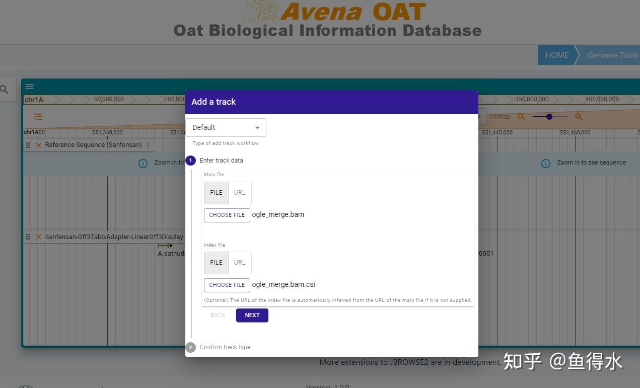 燕麦基因组浏览器Jbrowse2的在线使用 - 知乎