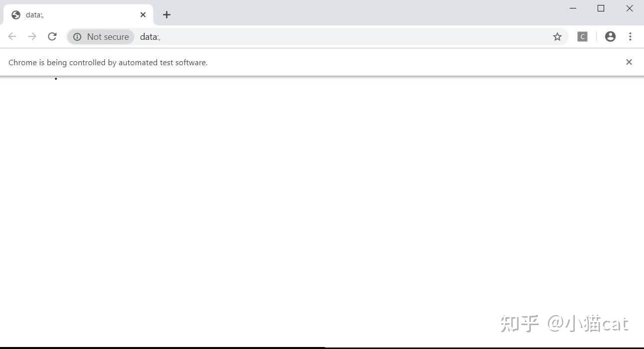 使用Excel VBA和Selenium - 知乎