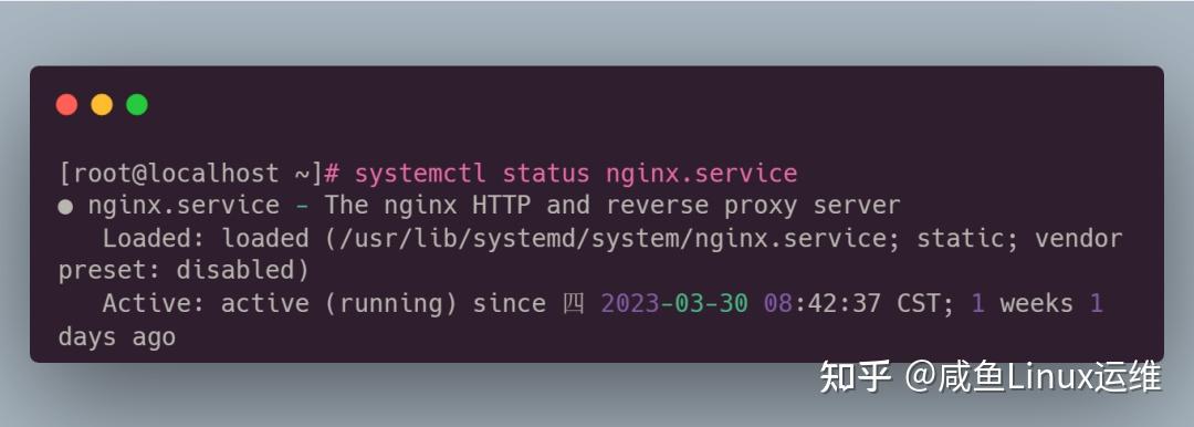 systemctl 命令设置开机自启动失败 - 知乎