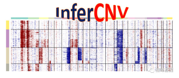 SCS【16】从肿瘤单细胞RNA-Seq数据中推断拷贝数变化 (inferCNV) - 知乎