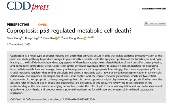 Cell Death Differ 观点︱铜死亡：受p53调节的代谢性细胞死亡 - 知乎