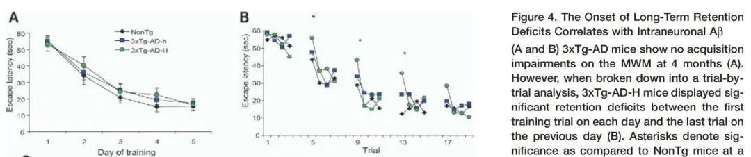 3xTg-AD（三转小鼠）— 阿尔茨海默症模型 - 知乎