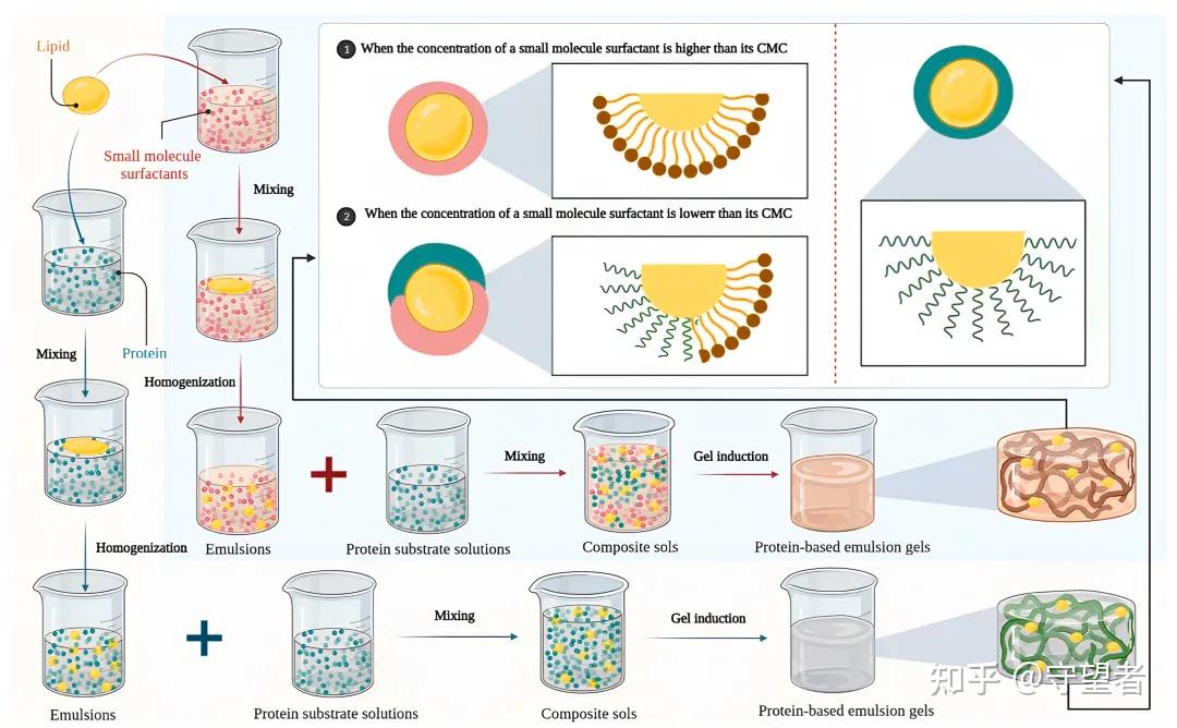 Food Hydrocolloids：蛋白质基乳液凝胶作为递送生物活性物质的材料：形成、结构、应用及挑战 - 知乎