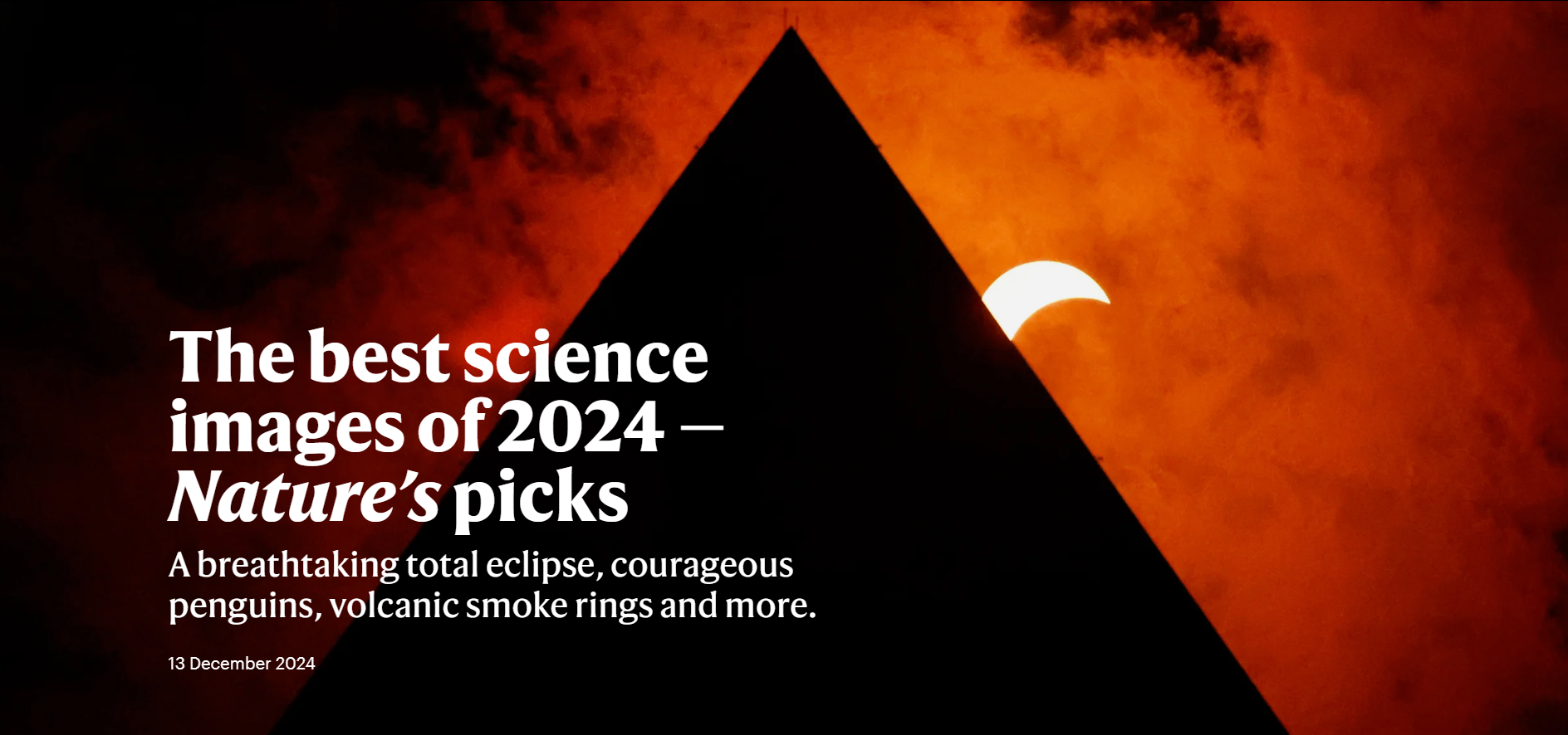 Nature2024年度最佳科学图片公布，中国青年学者成果入选！ - 知乎