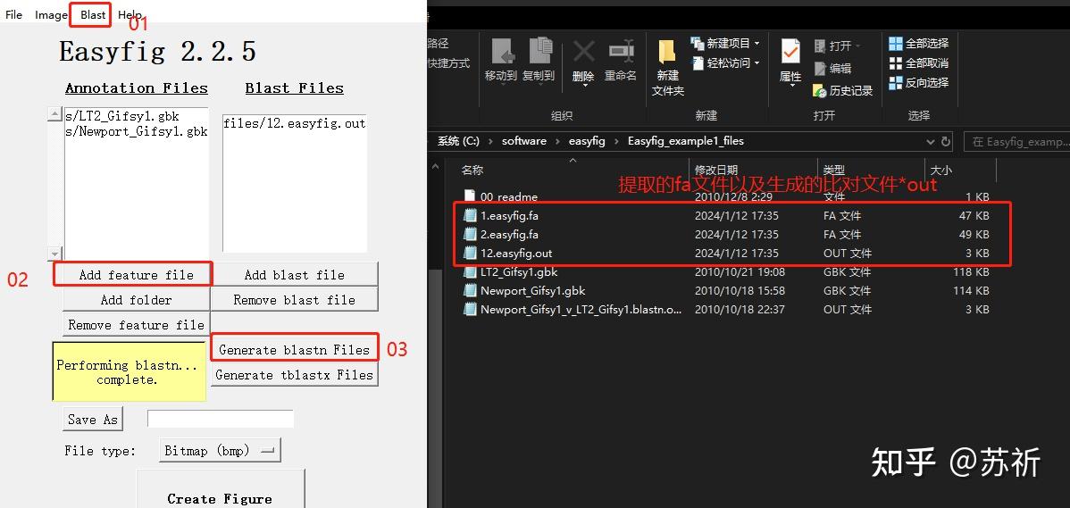 easyfig：线状基因组比对图 - 知乎