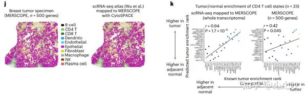 NBT | 使用CytoSPACE对单细胞和空间转录组进行高分辨率比对 - 知乎