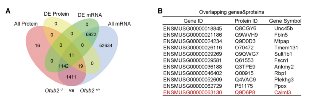 Cell Rep︱刘芝华团队揭示去泛素化酶OTUB2的抑癌机制 - 知乎
