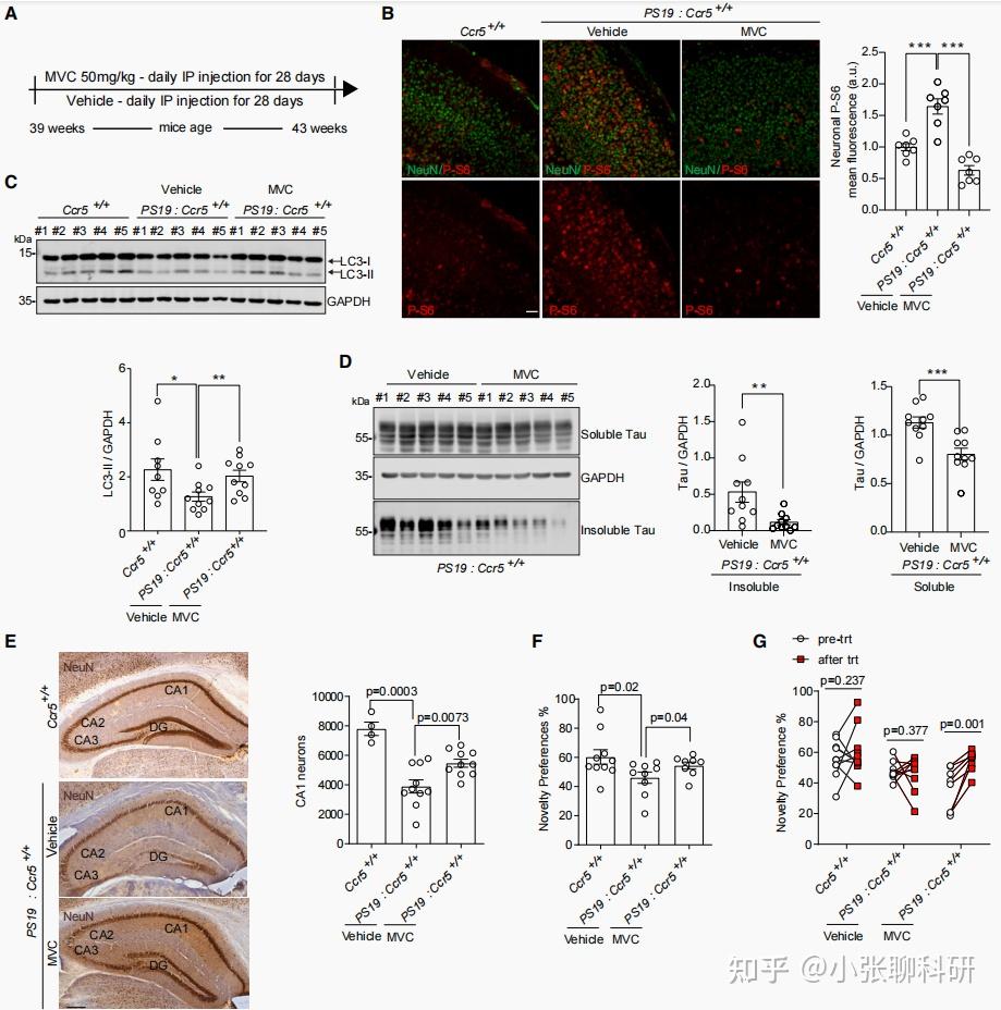 顶刊解读|旁分泌信号，神经元自噬与神经退行性病变 - 知乎