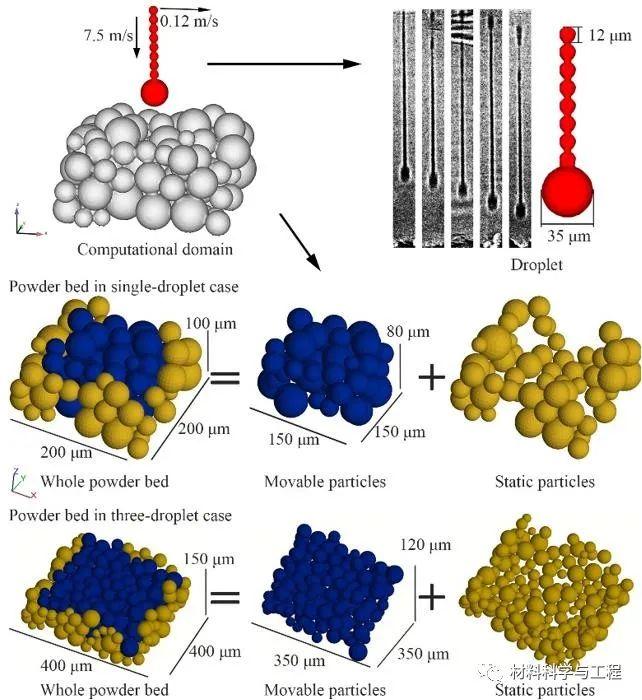 闫文韬团队《Acta Materialia》：首次完全再现！一种流固耦合高精度模型 - 知乎