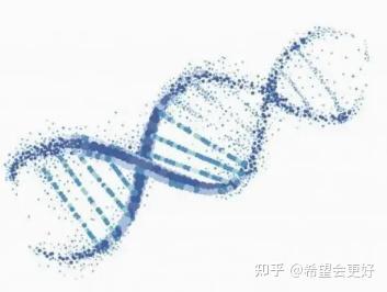 一文读懂nmn是什么，什么是nmn的功效与作用 - 知乎