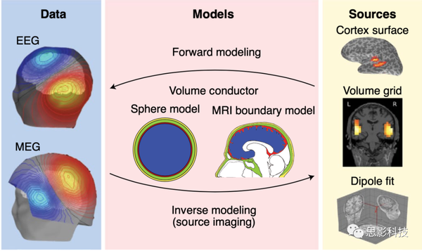 Nature neuroscience：如何提高EEG/MEG研究可重复性 - 知乎
