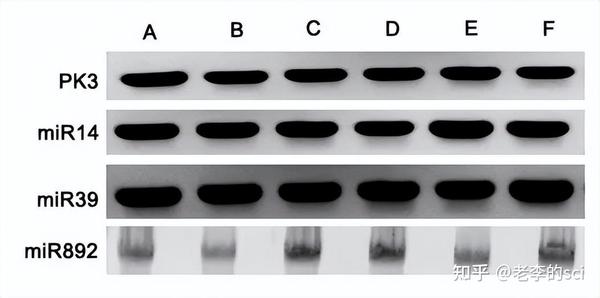 收藏｜史上最全高质量SCI图片处理软件及操作流程 - 知乎