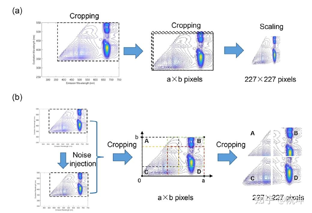 [论文分享]利用三维荧光光谱F-EEMs和卷积神经网络CNN定性和定量假芝麻油 - 知乎