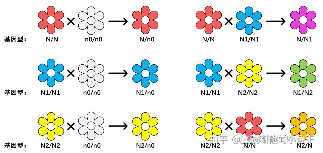 「显隐性的本质」是什么 - 知乎