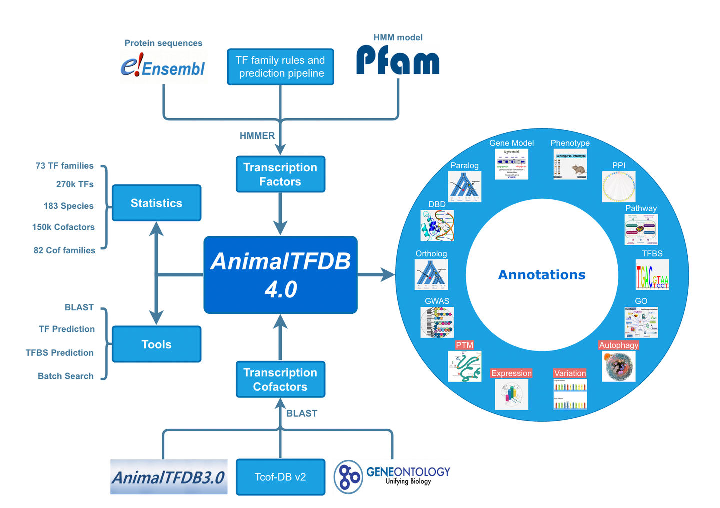 🤩 AnimalTFDB v4.0 | OMG！我最爱的转录因子数据库更新啦！~（附使用指南）（一） - 知乎