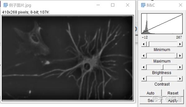 ImageJ分析细胞形态 - 知乎