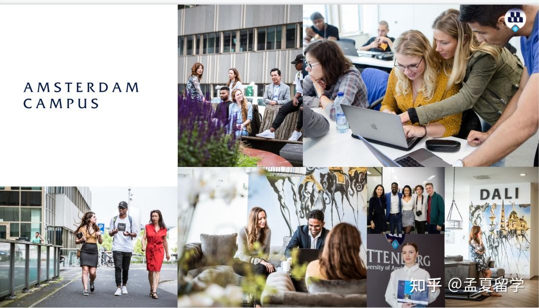 荷兰留学 | 荷兰留学有没有性价比高的学校？ - 知乎
