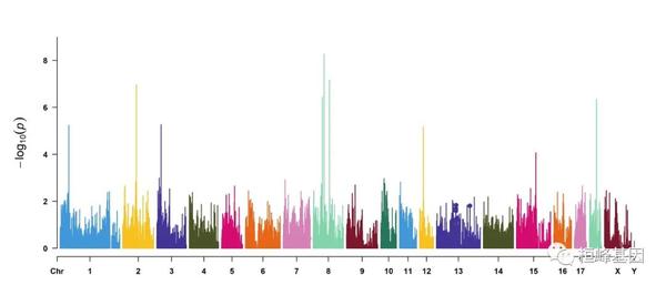DNA 12. SCI 文章绘图之全基因组关联分析可视化(GWAS) - 知乎