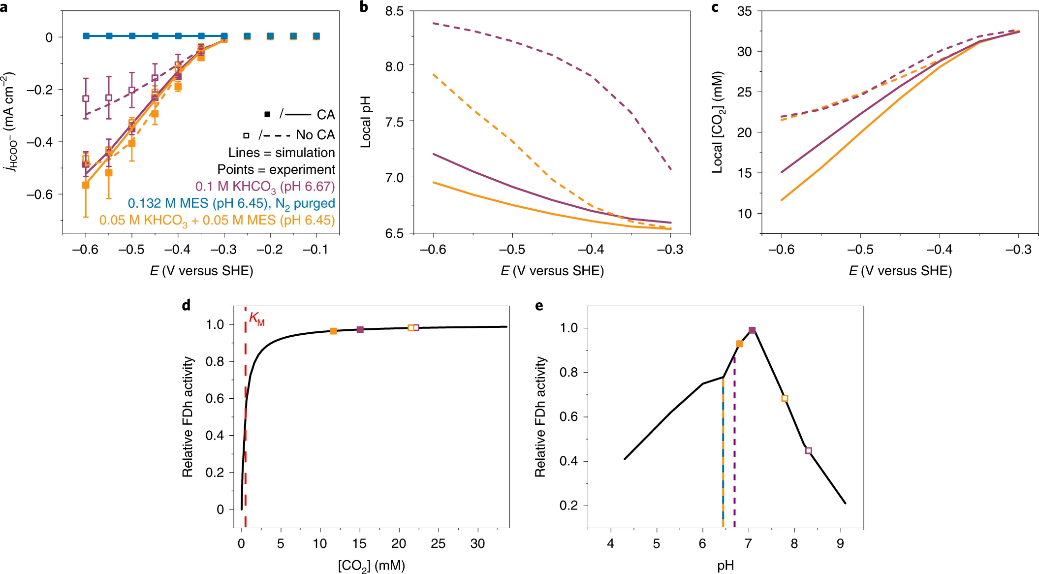 CO2RR最新Nature chemistry：学科交叉，酶促CO2 还原电催化 - 知乎