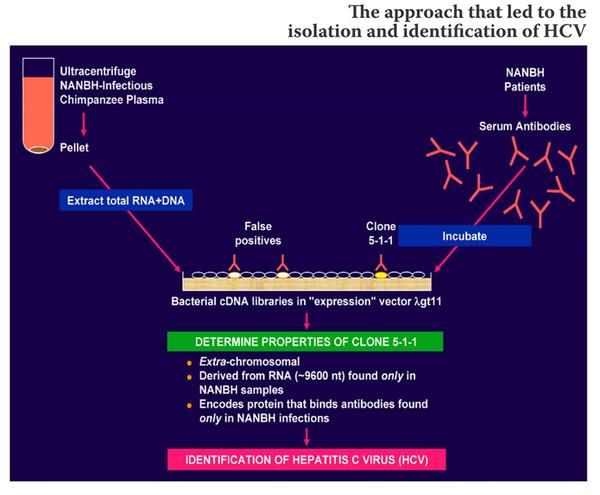HCV的发现，病毒学的又一次诺奖 - 知乎