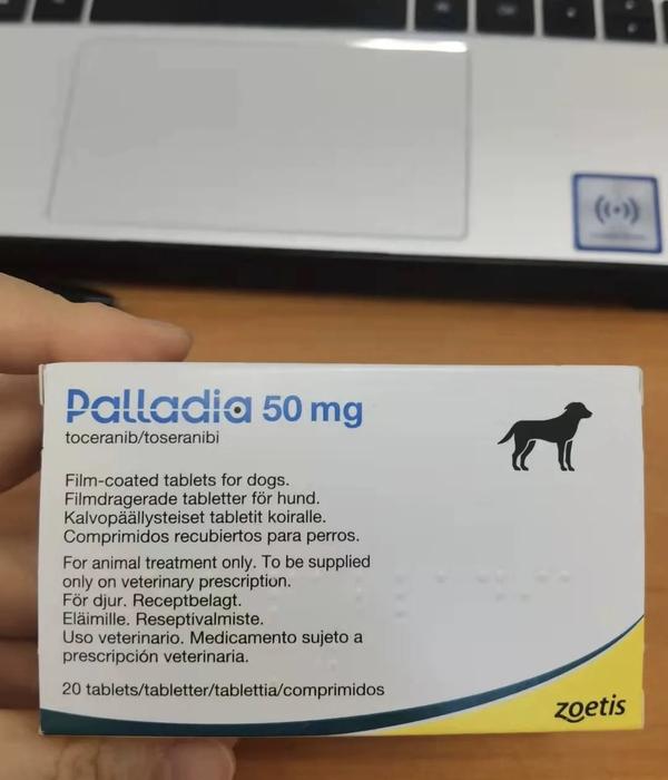 宠物Palladia(帕拉丁) - 知乎