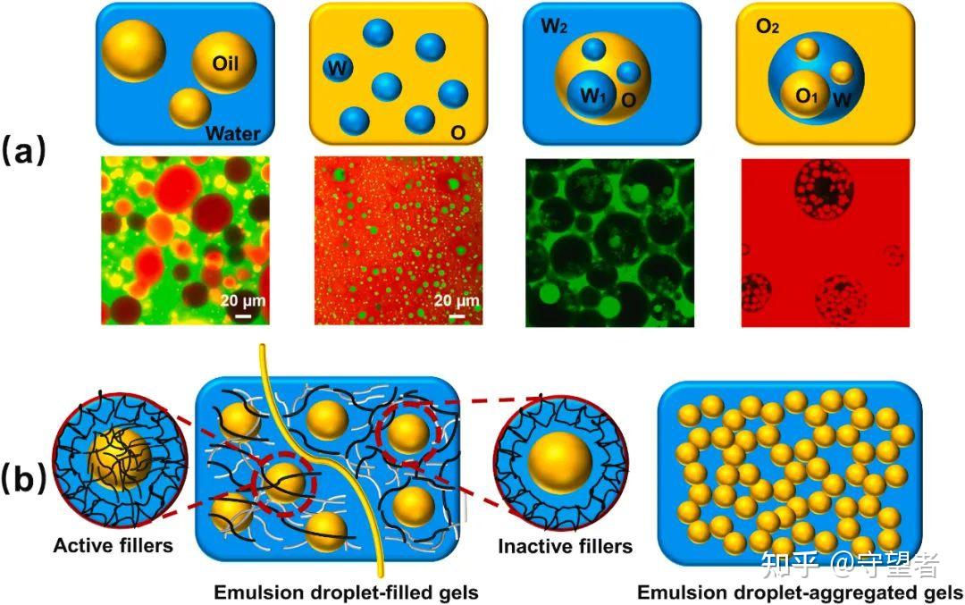 Food Hydrocolloids综述：油凝胶/乳液凝胶作为肉制品中新型饱和脂肪替代品 - 知乎