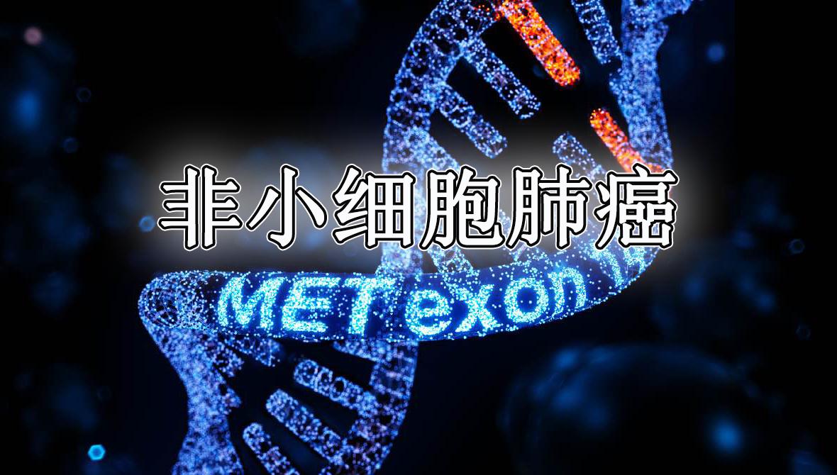 基于确认性数据!Tabrecta获FDA完全批准用于METex14跳跃突变非小细胞肺癌 - 知乎