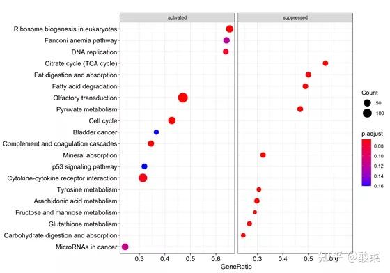 史上最全GSEA可视化教程，今天让你彻底搞懂GSEA！ - 知乎