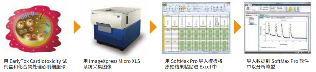 利用 SoftMax Pro 软件分析心肌细胞球收缩 - 知乎