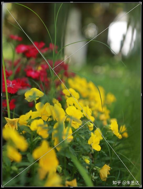 10.LightRoom classic入门——裁剪工具 - 知乎