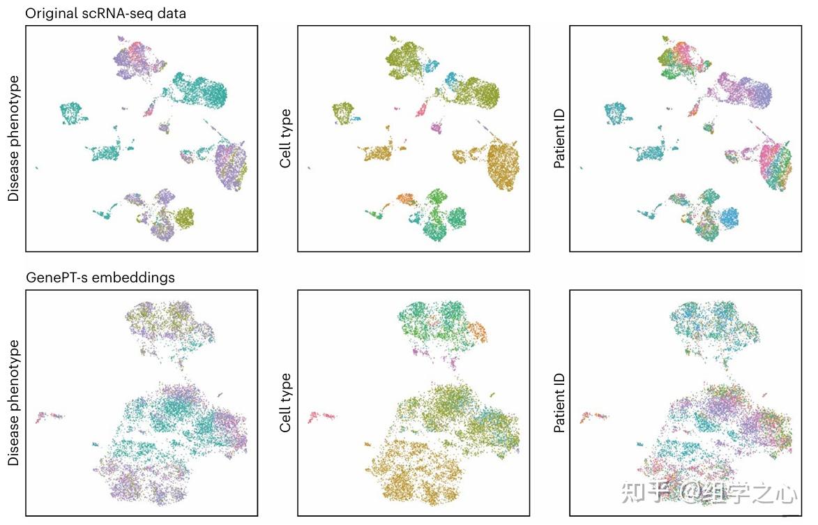 单细胞组学大模型（7）--- GenePT，一个可以在本地部署和使用的单细胞转录组大模型 - 知乎