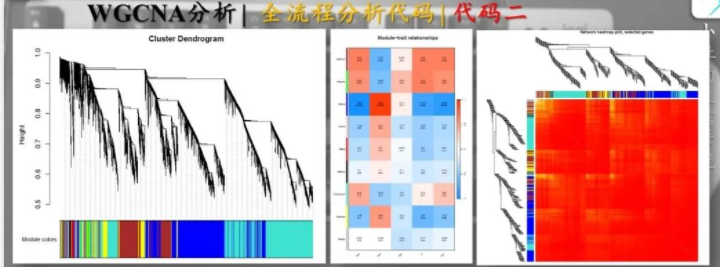 WGCNA分析 | 全流程代码分享 | 代码二 - 知乎