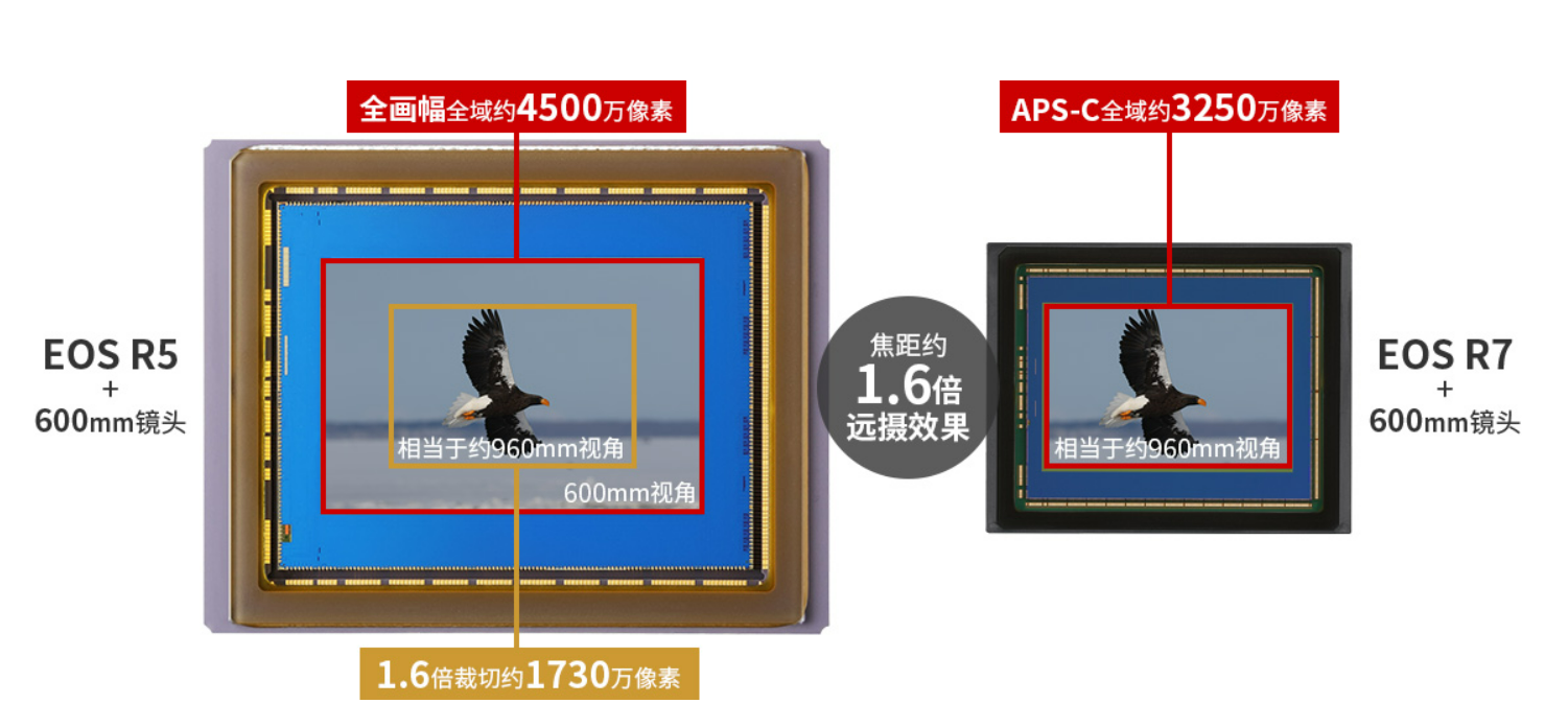 EOS R7和尼康z5怎么选？