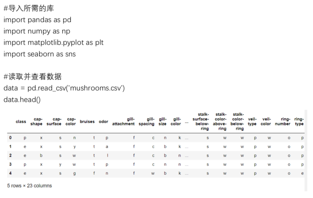 Python实例 | 最好用的降维算法t-SNE - 知乎