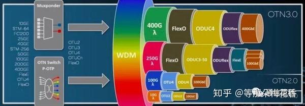 FlexE、FlexO与OTN - 知乎